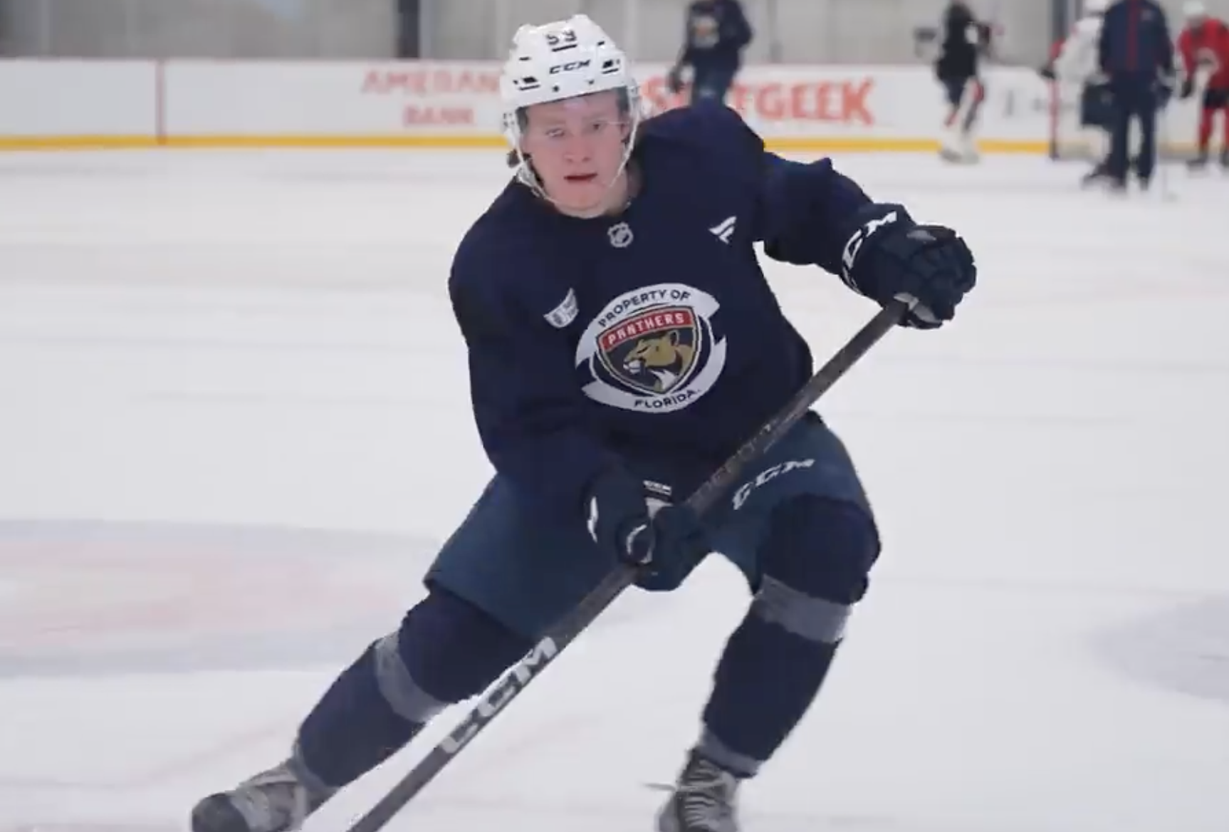 Panthers Training Camp: Sawchyn and St. Martin impress, Nosek and ...