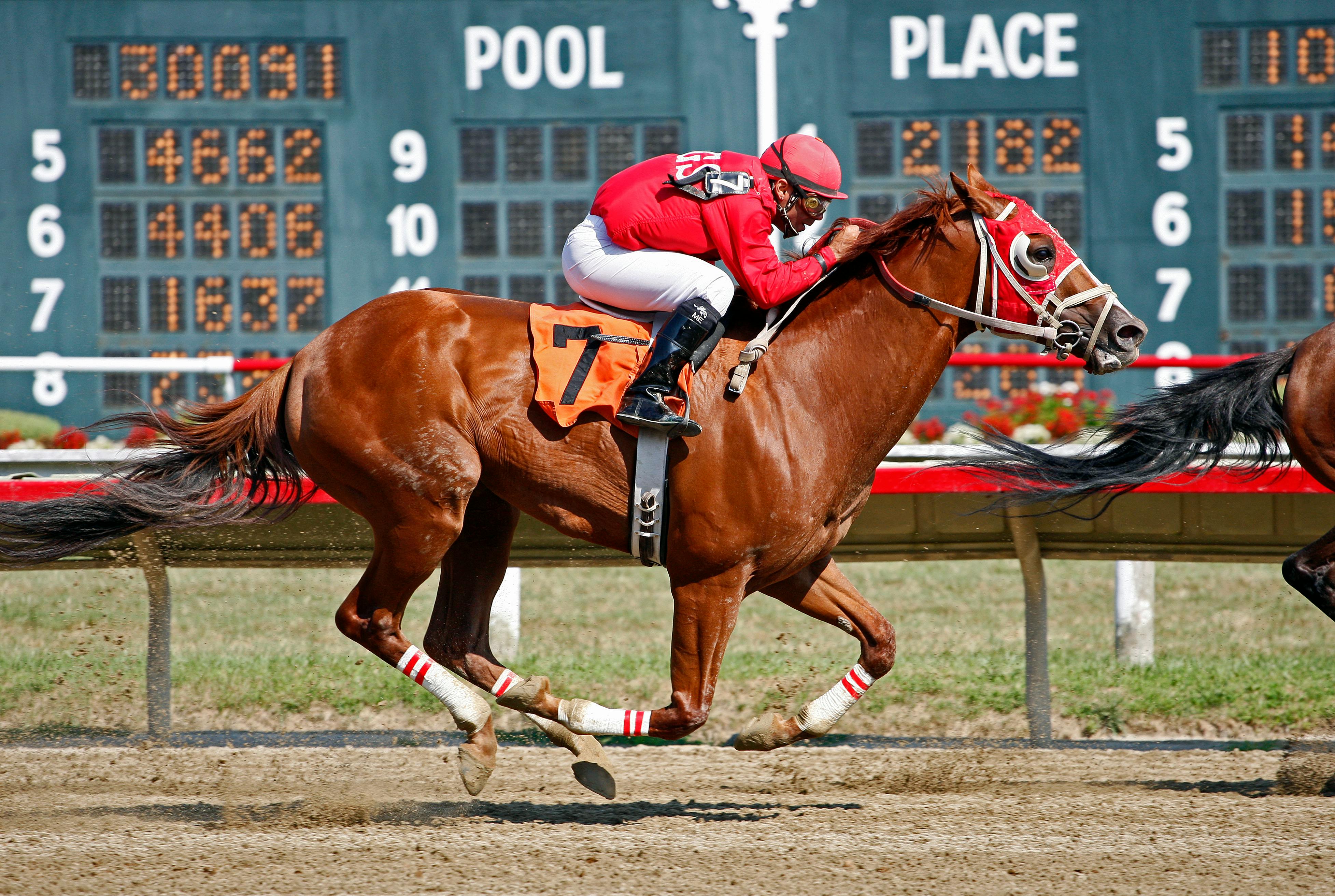 Reading the 2025 Kentucky Derby Odds: What Factors Affect It? – Five ...